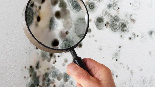 How Does Mold Make Its Way Into Your Air Ducts?